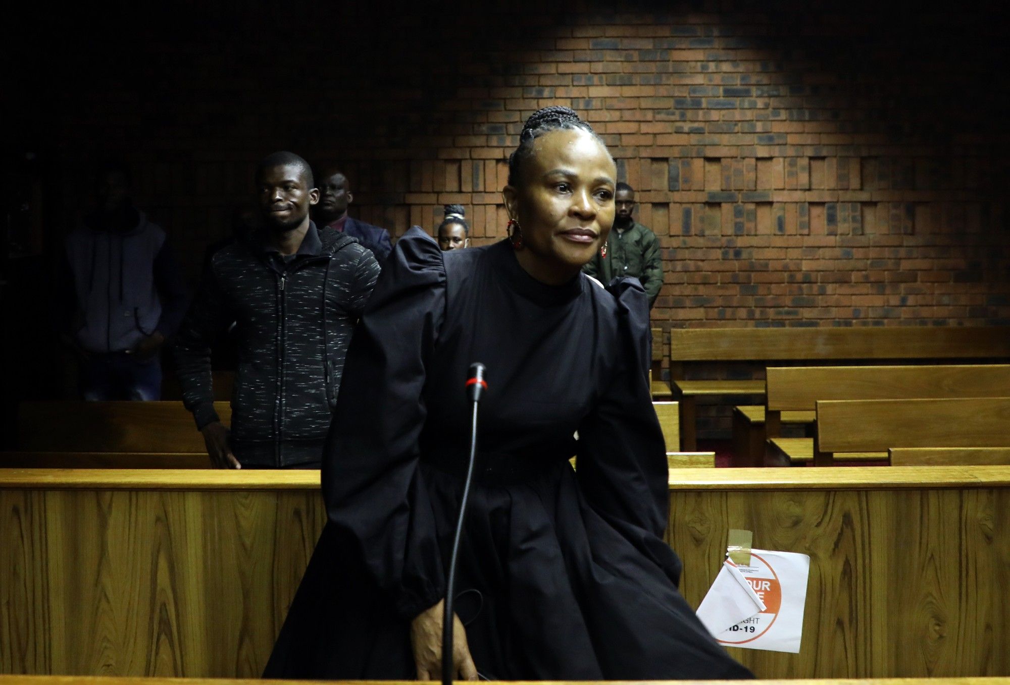 Busisiwe Mkhwebane's perjury case postponed to allow NPA decision on ...