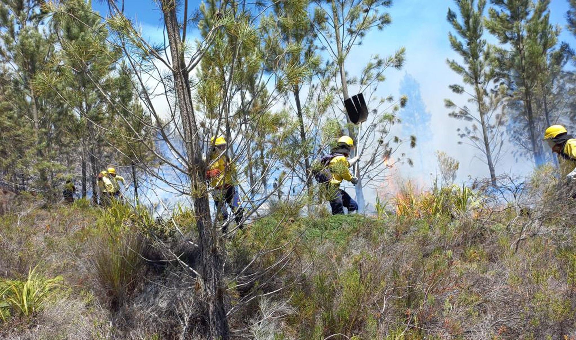 2 400 hectares lost in huge Kleinmond fire