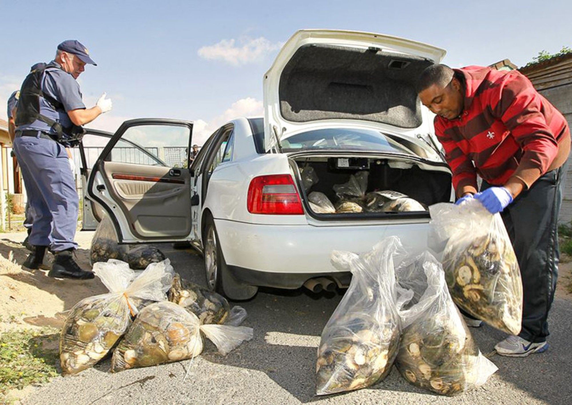 ‘Abalone poachers destroy local communities’