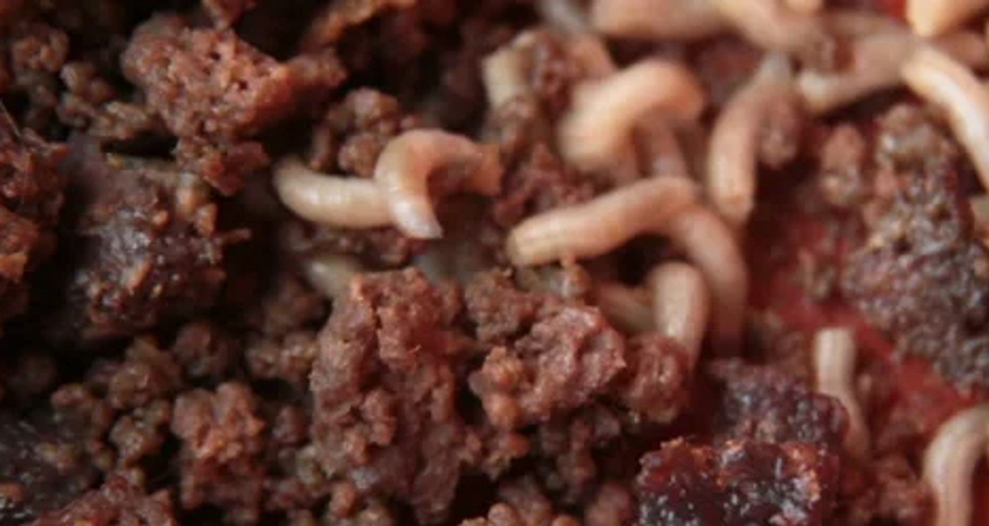WATCH: Locals force shop owner to eat the worm-infested food that he ...