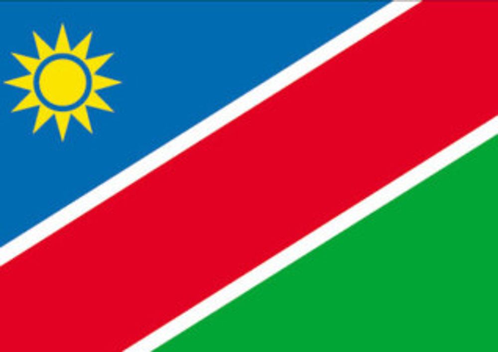 Namibian activist chief dies