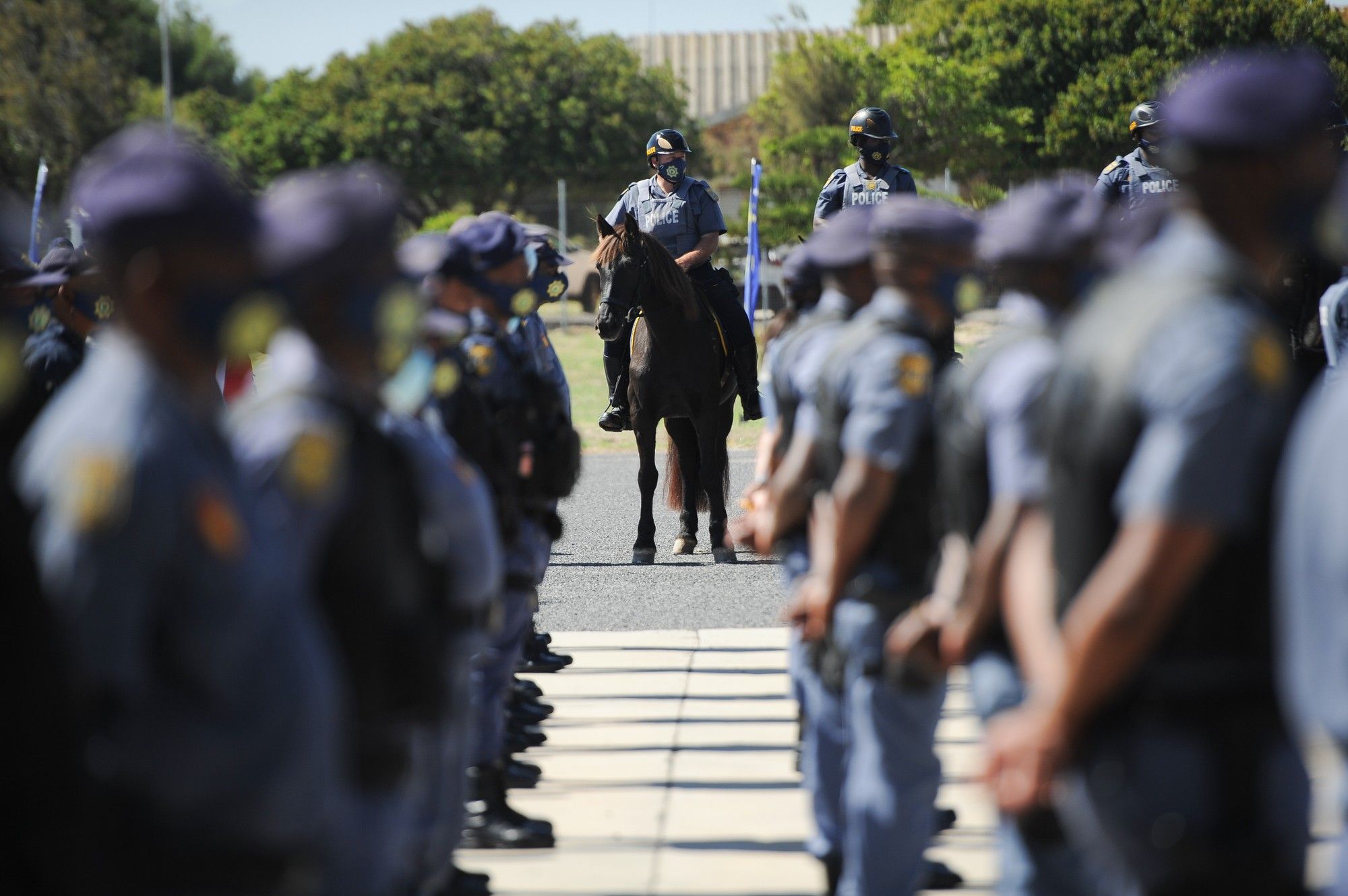 Operation Shanela Strikes Hard: Over 200,000 arrests in six months as ...