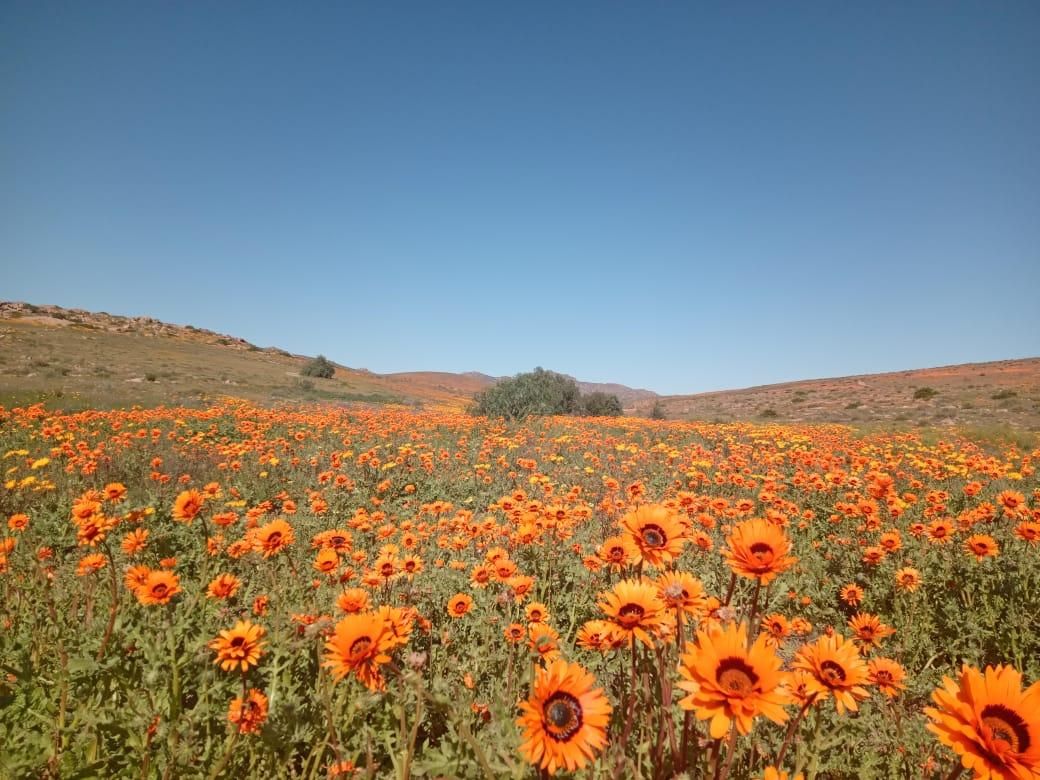 SANParks announces week of free access to national parks