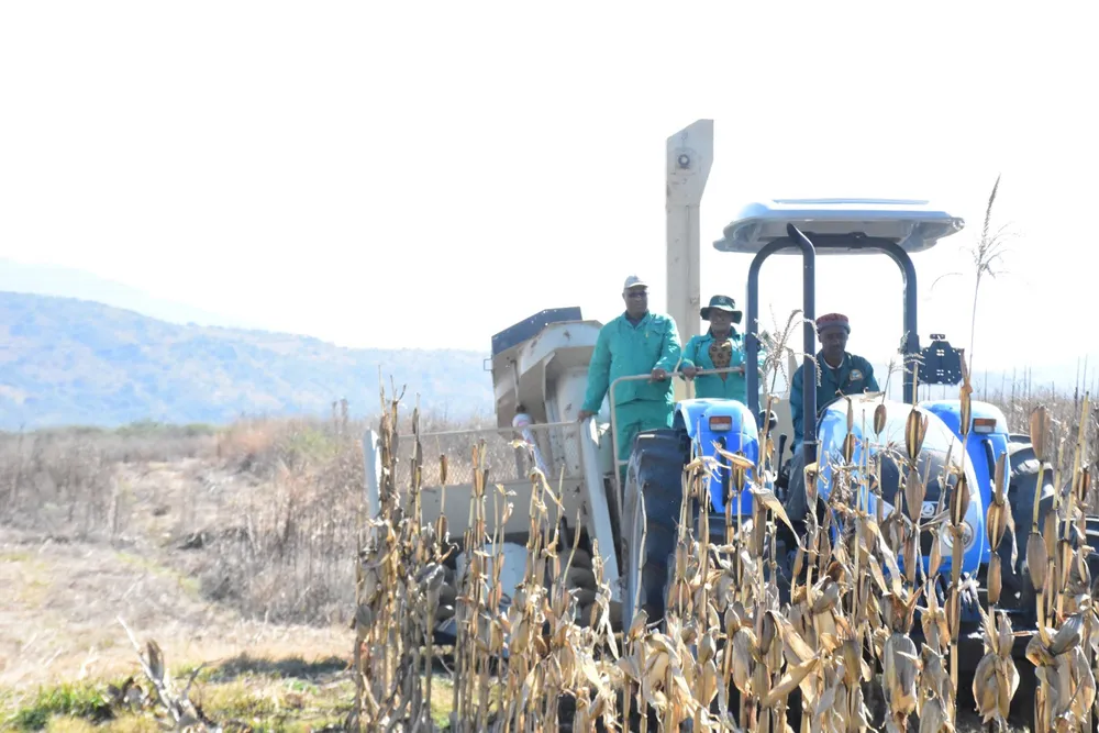 Emasimini evuna uMabuyane