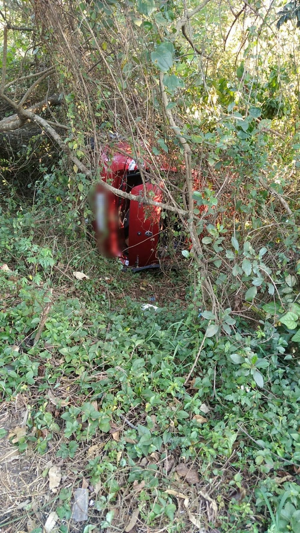 Motorists discover three occupants dead hours after vehicle rolled into ...