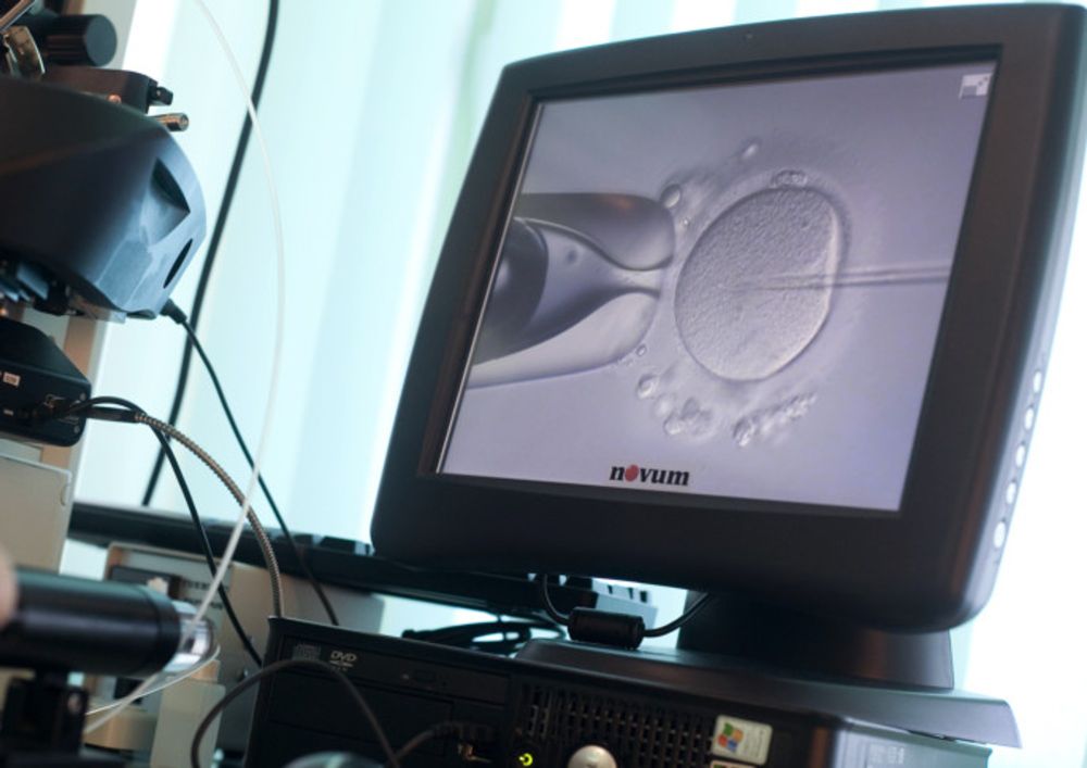 Gene-sequenced IVF leads to healthy boy