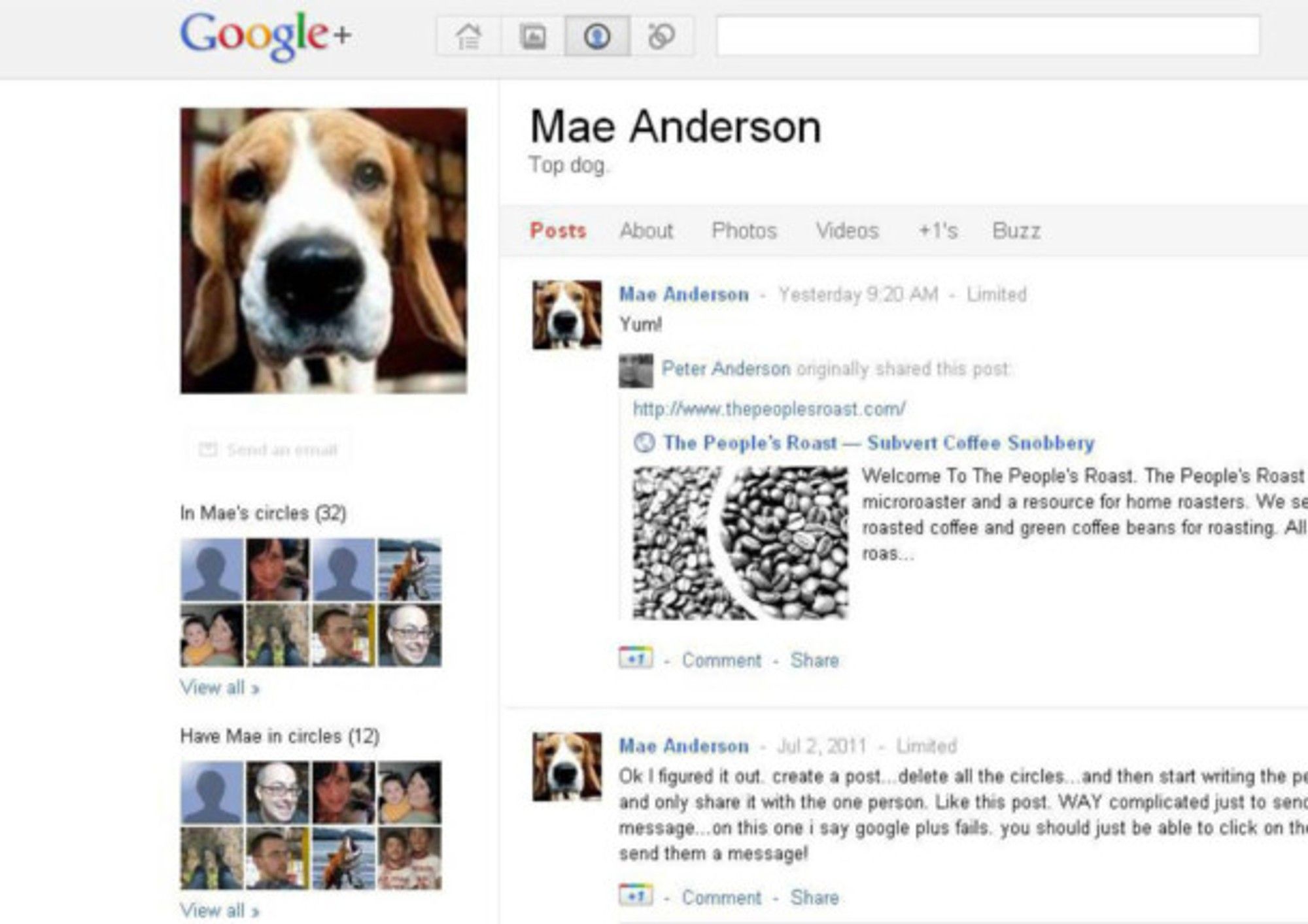 Google+ closes in on MySpace, LinkedIn