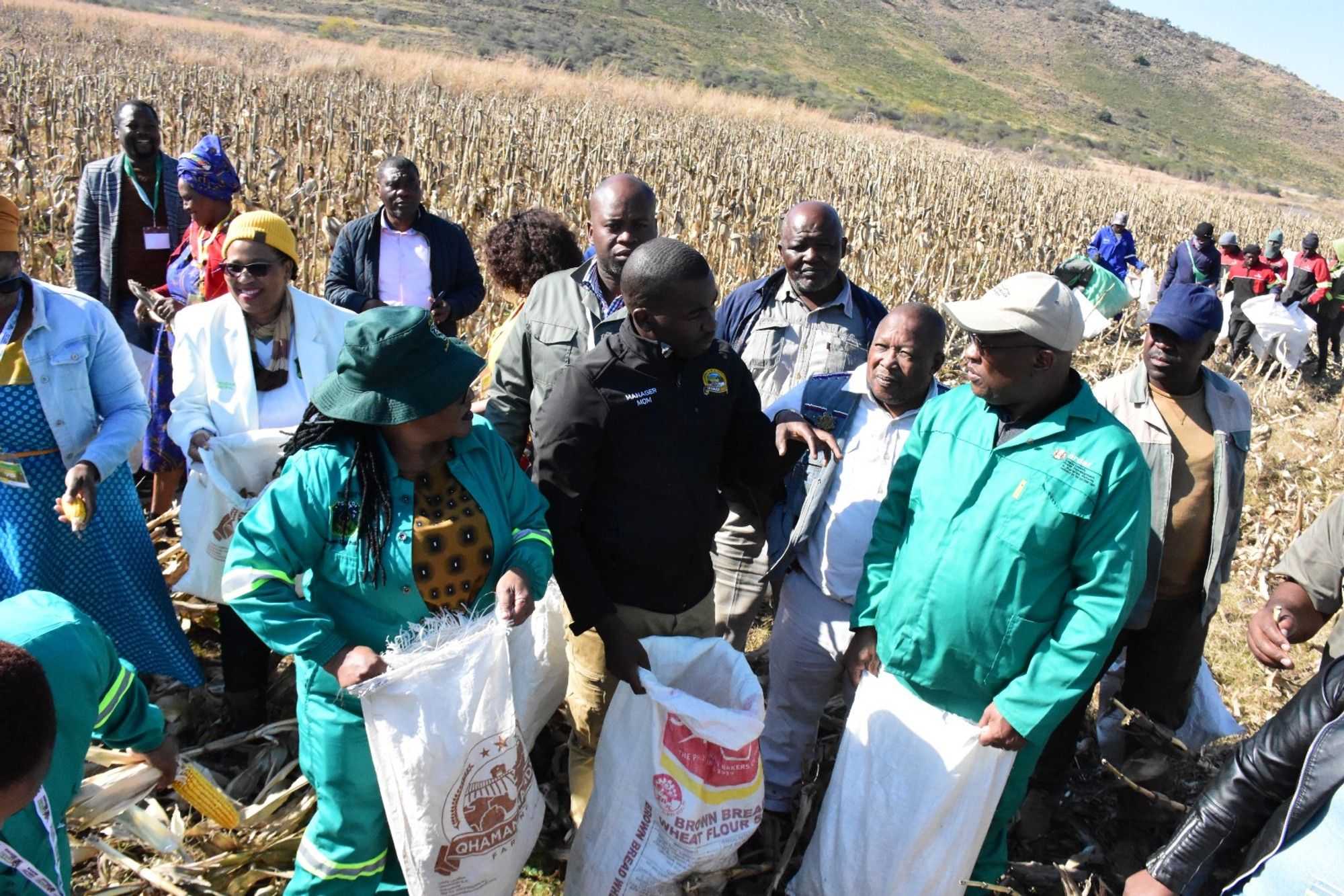 Emasimini evuna uMabuyane