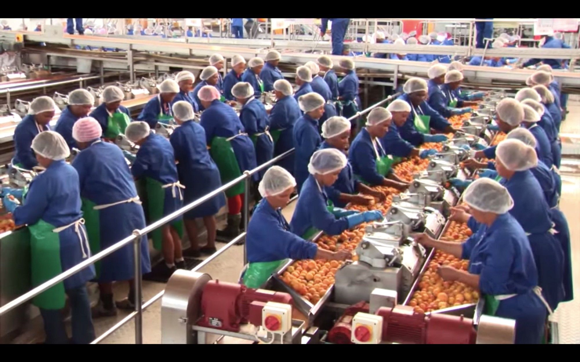 Tiger Brands secures future for 3 000 farm workers with sale of ...