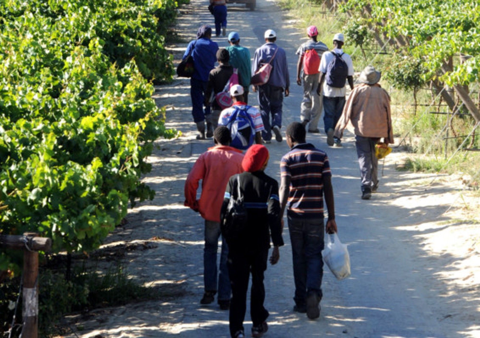 Workers have a chance to shape the path