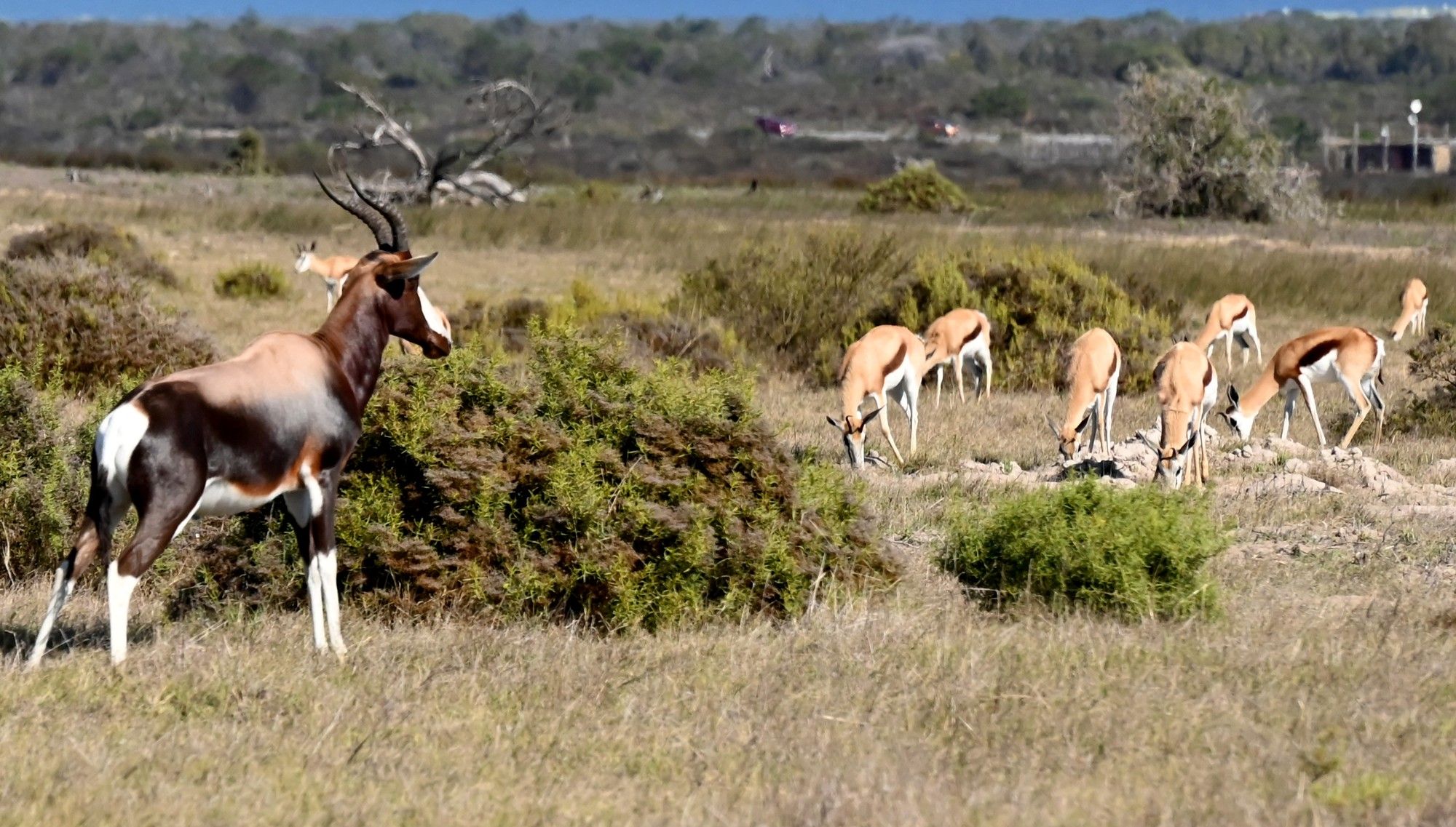 SANParks ready to welcome droves for its free entry National Parks Weeks