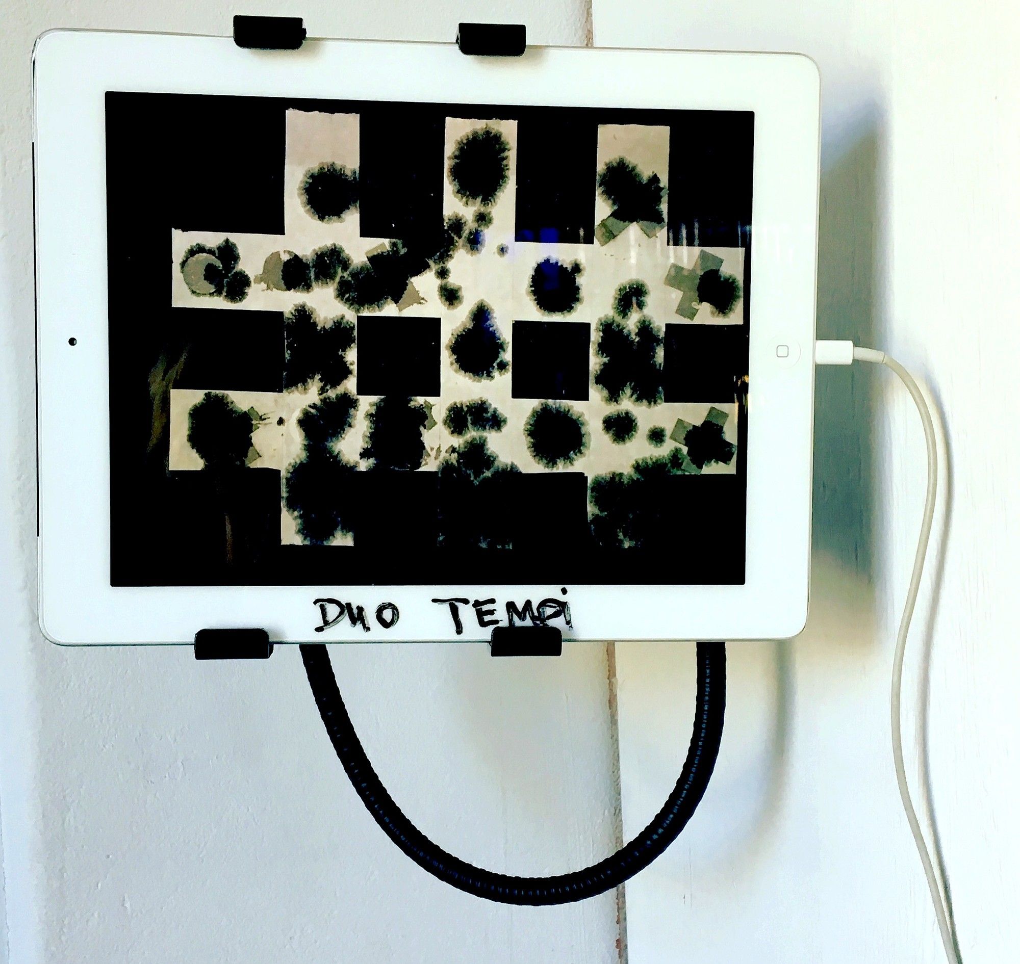 Artist Van Embden creates novel way to find her sense of place