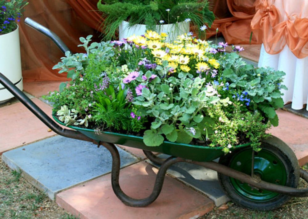 How to prep a summer garden