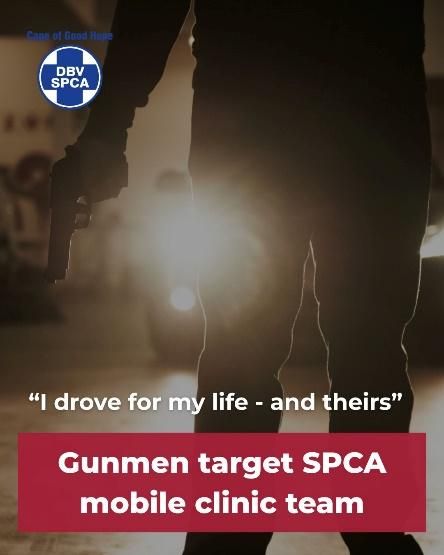 Safety concerns lead SPCA to halt mobile clinic services in Khayelitsha