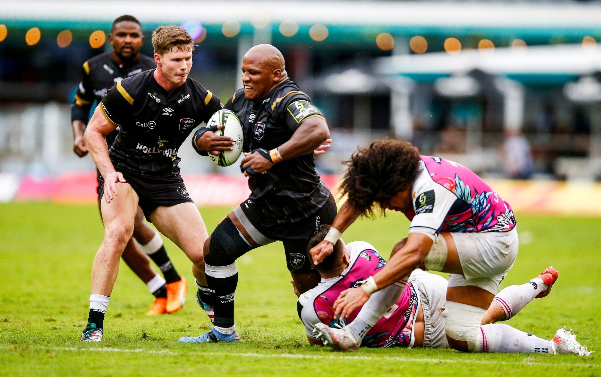 Key Springboks to watch as Sharks get set for French giants Toulouse