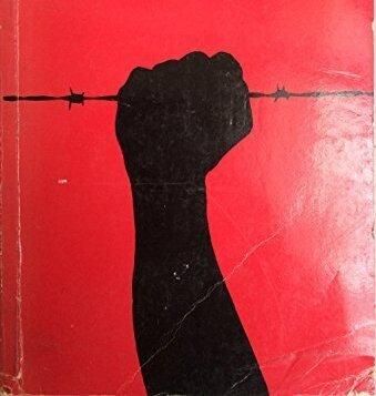 From Steve Biko to Nelson Mandela: 5 powerful books that shaped South ...