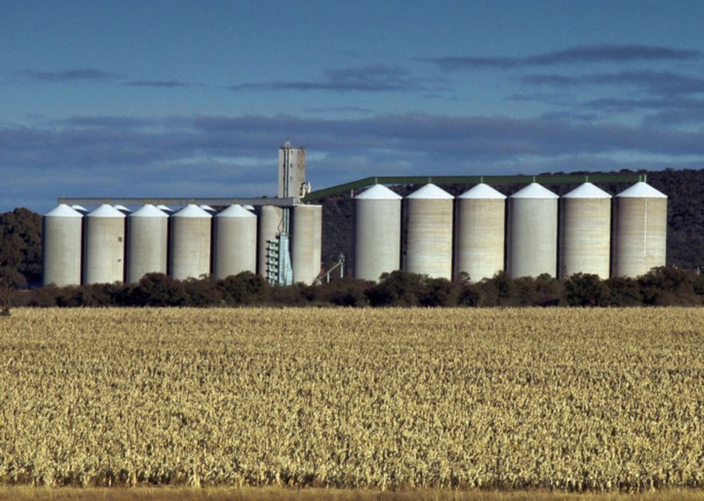 Zim farmer loses case against SA govt