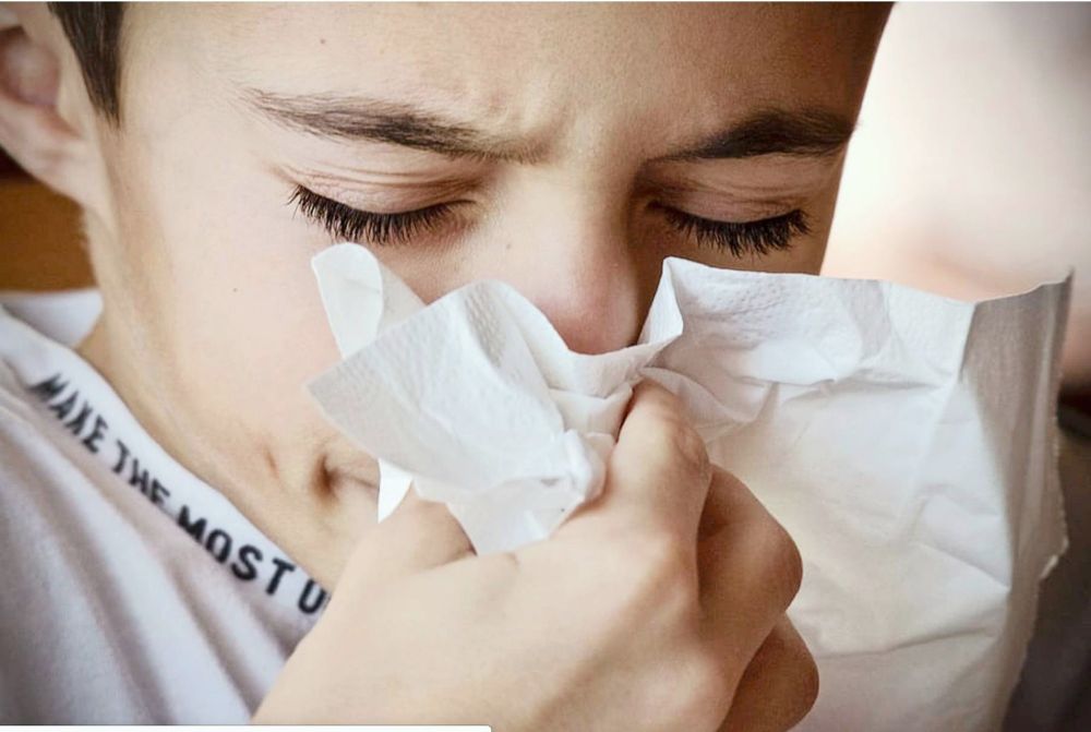 Getting to grips with the annual flu season