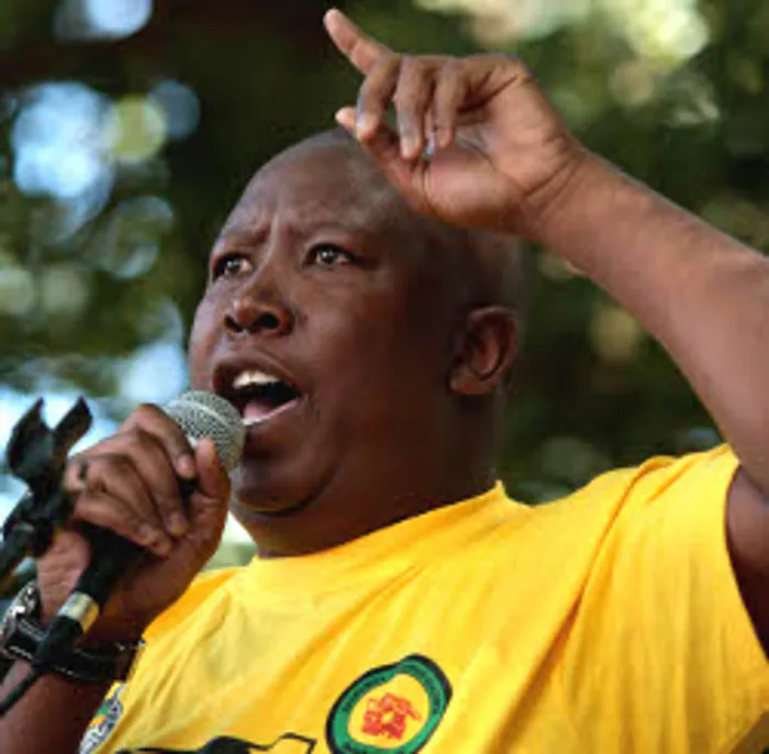 Zille to sue Malema
