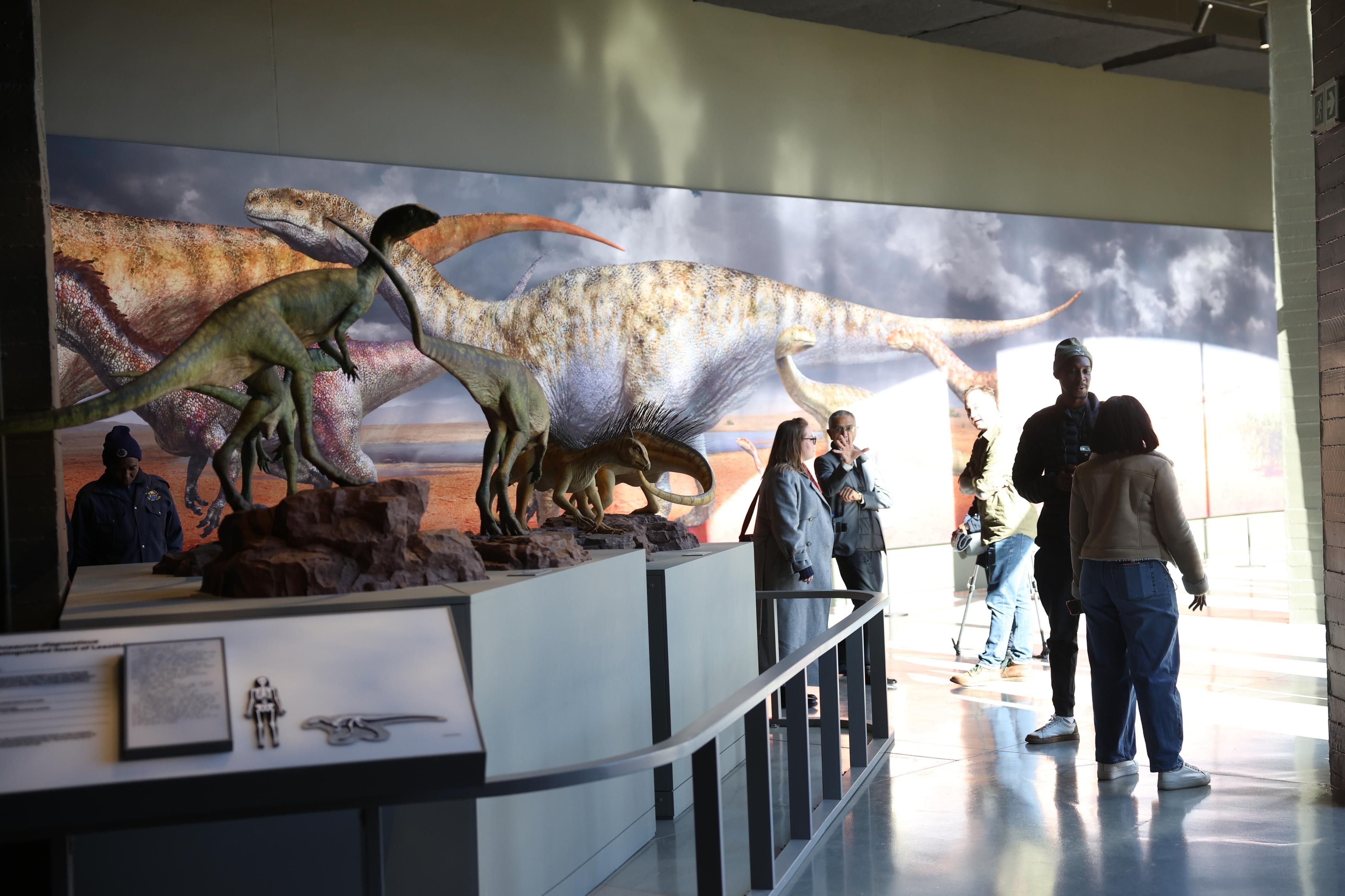 Explore Africa's ancient history at the Kgodumodumo Dinosaur ...
