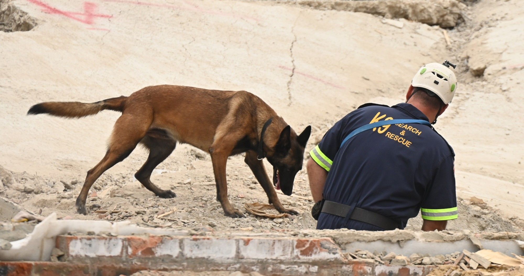 SAPS K9 unit’s courageous hunt for living and dead both internationally and locally