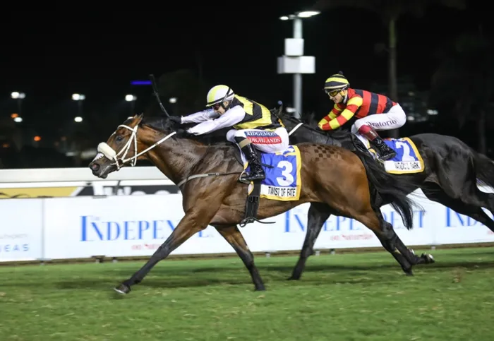Equus Champion Vardy back in training