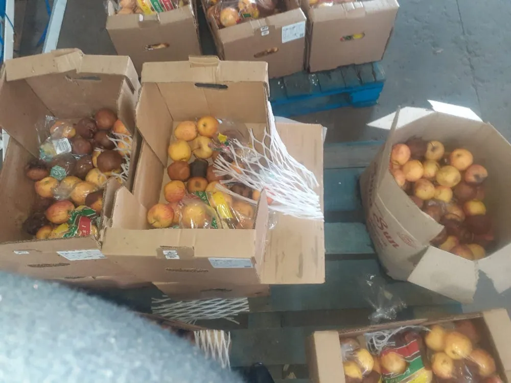 Quibbling goes on as food rots, pupils go hungry