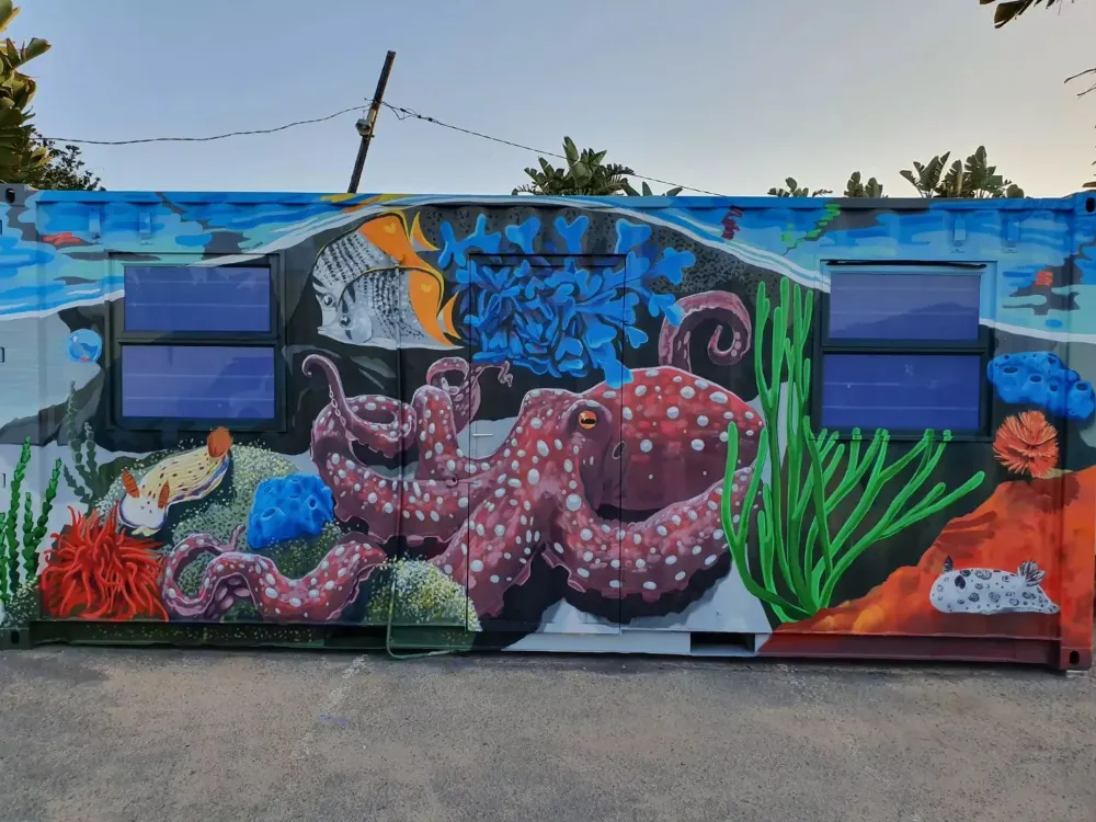 PICS and VIDEO: KZN rock pool theme mural for Beachwood Country Club ...