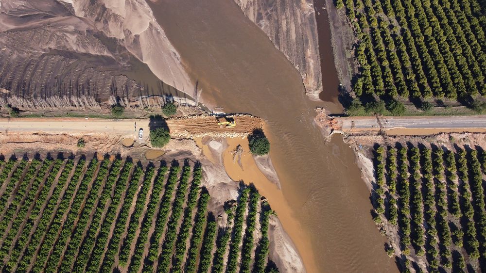 Citrus growers, province call for swift disaster declaration to help ...