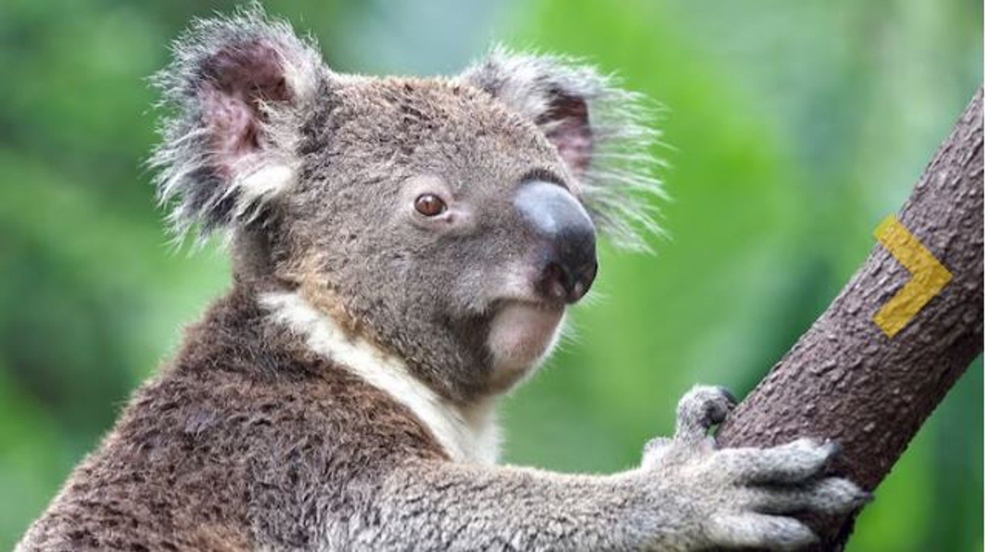 On this day in history, February 11