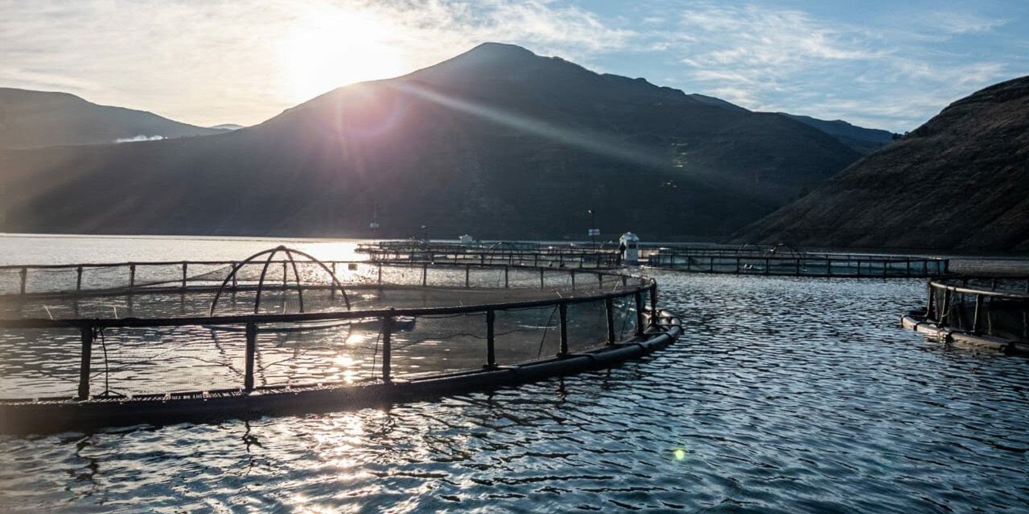 WATCH: Multi-million rand fish farming industry thriving in the ...