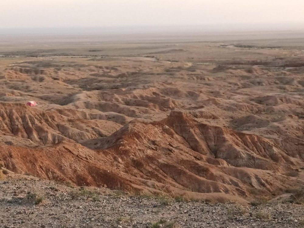 Revolutionary technique for dating dinosaur fossils unveiled