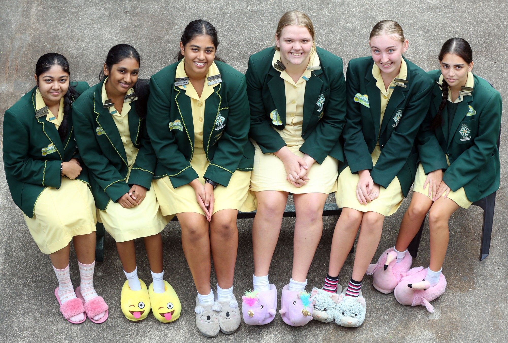 Furry feet take steps to make dreams come true