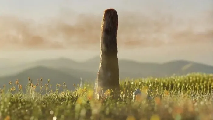 Prototaxites: Scientists rethink ancient 'rock-hard' tree-like mystery