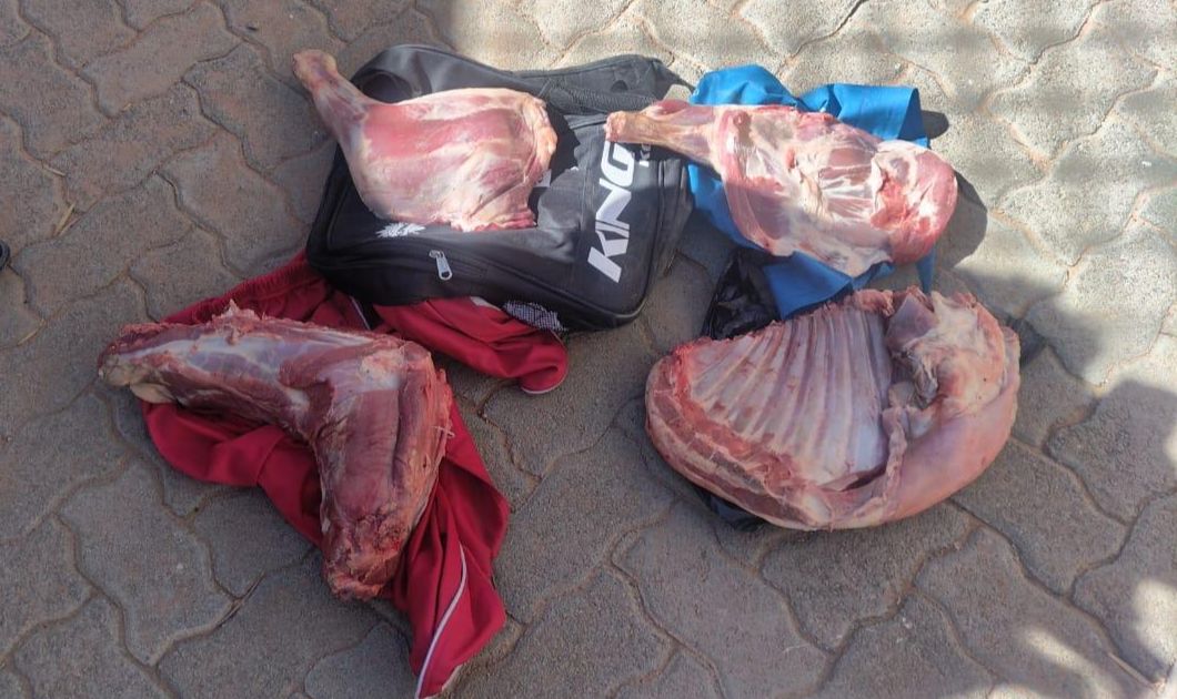 R50K stud ram stolen, slaughtered in De Aar stock theft incident