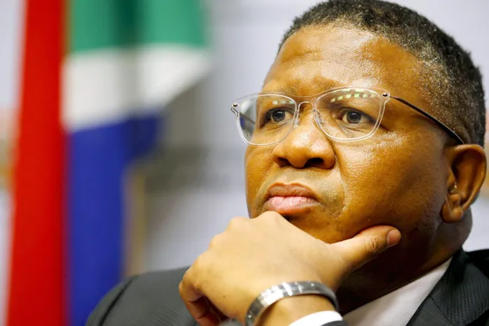ANC to ‘root out rotten apples’ with skills audit