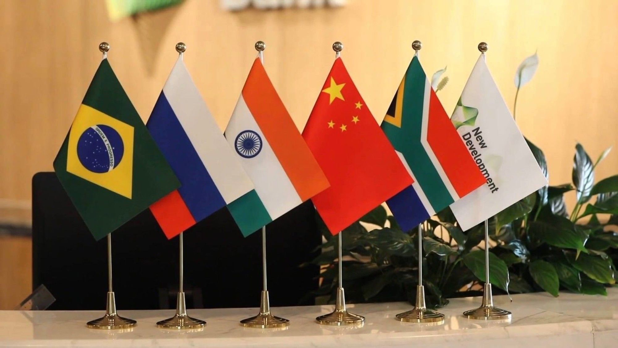BRICS starts off on payment system toward common currency target