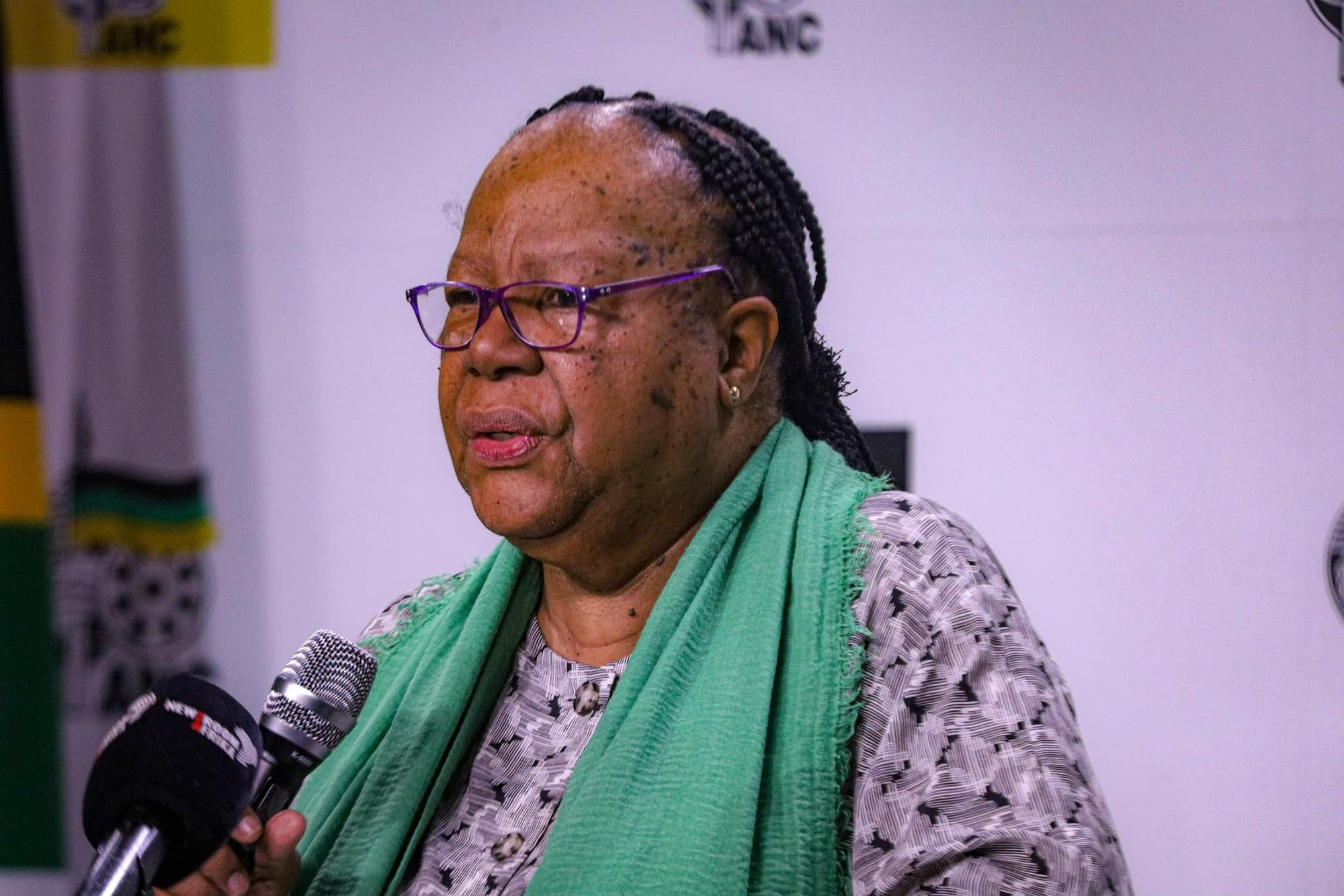 Pandor takes swipe at Ramaphosa, says ANC leaders without solutions are ...