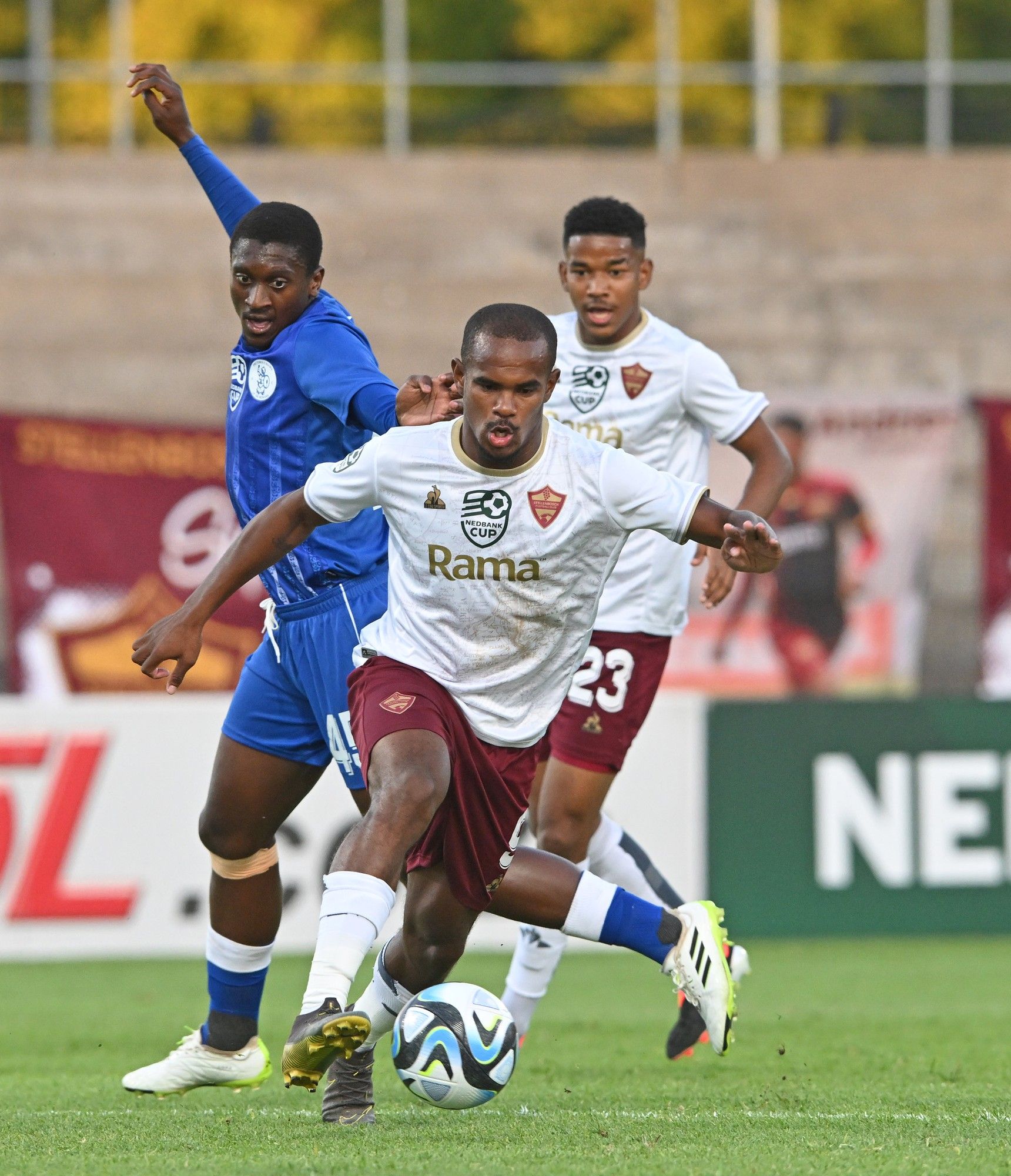 Stellies our best cup bet