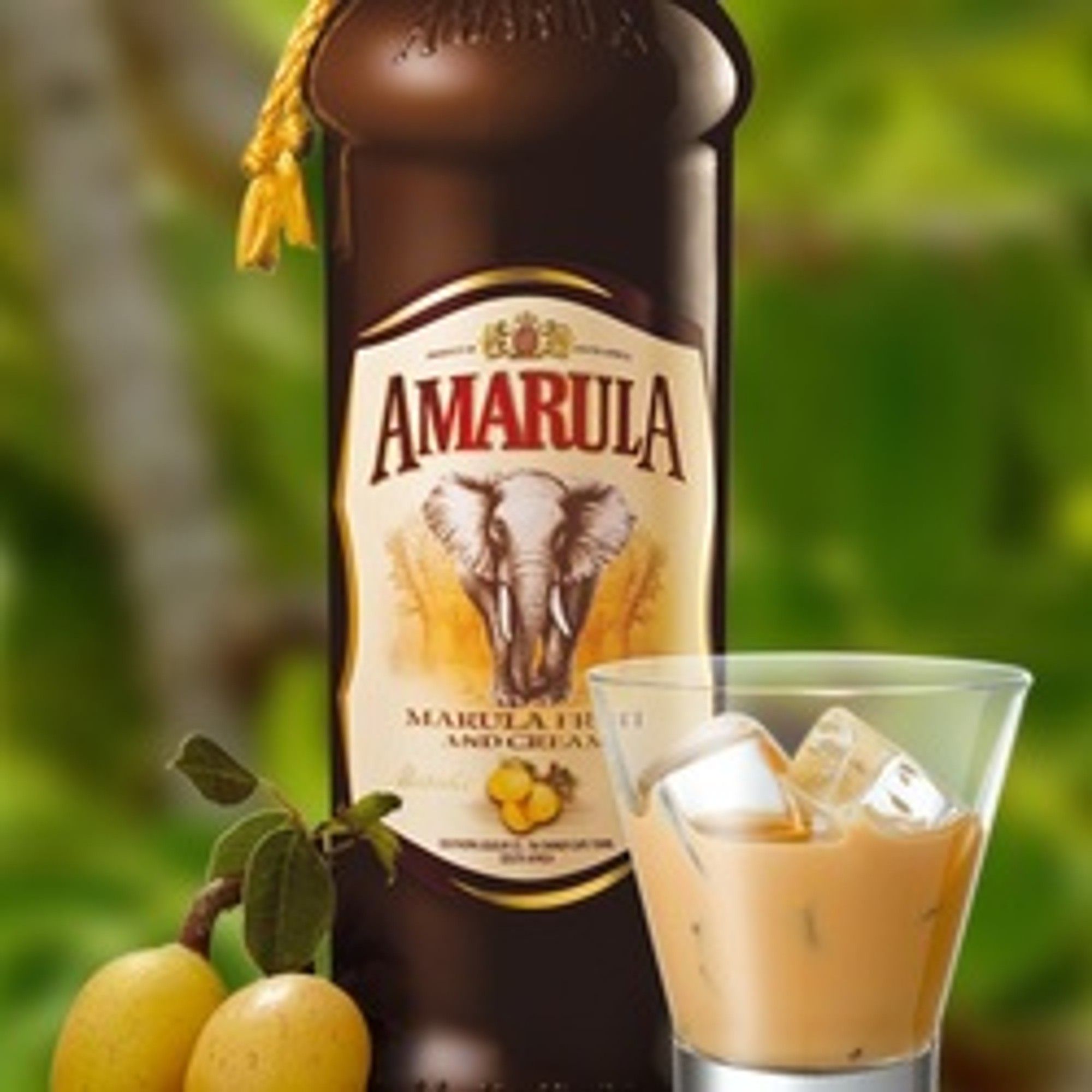 Amarula removes elephant
