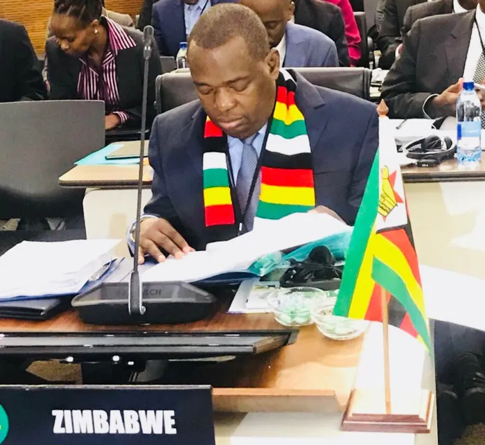 Zimbabwe minister vows upcoming elections will be free and fair