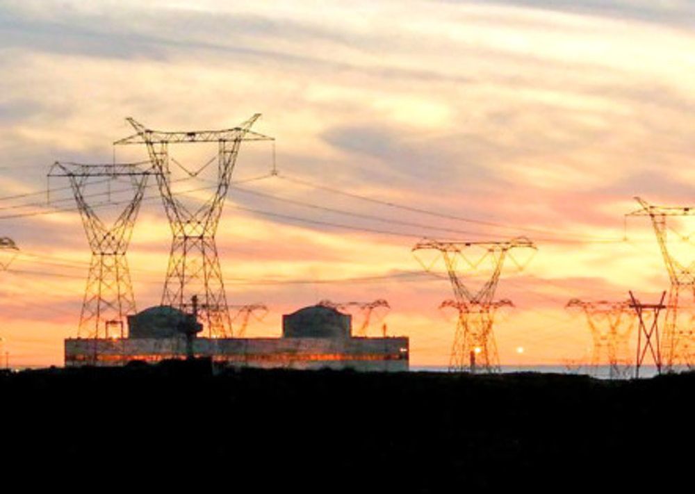 Firms ask to pay Eskom directly