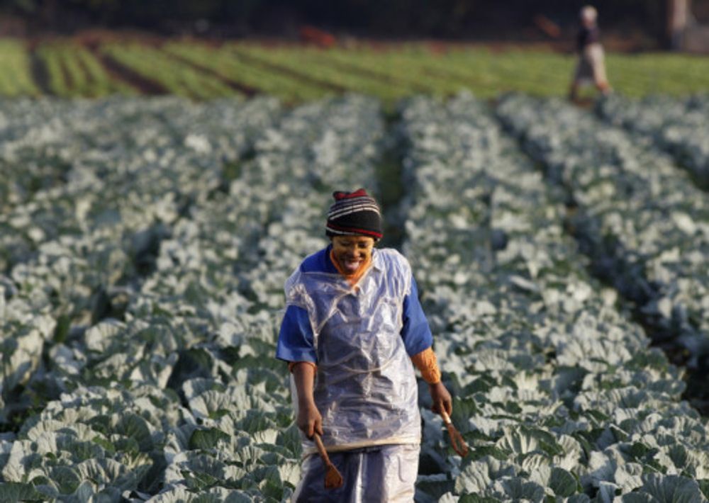 900 farmers seek wage exemption
