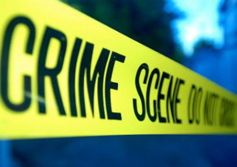 Gang of ‘polite’ thieves strike