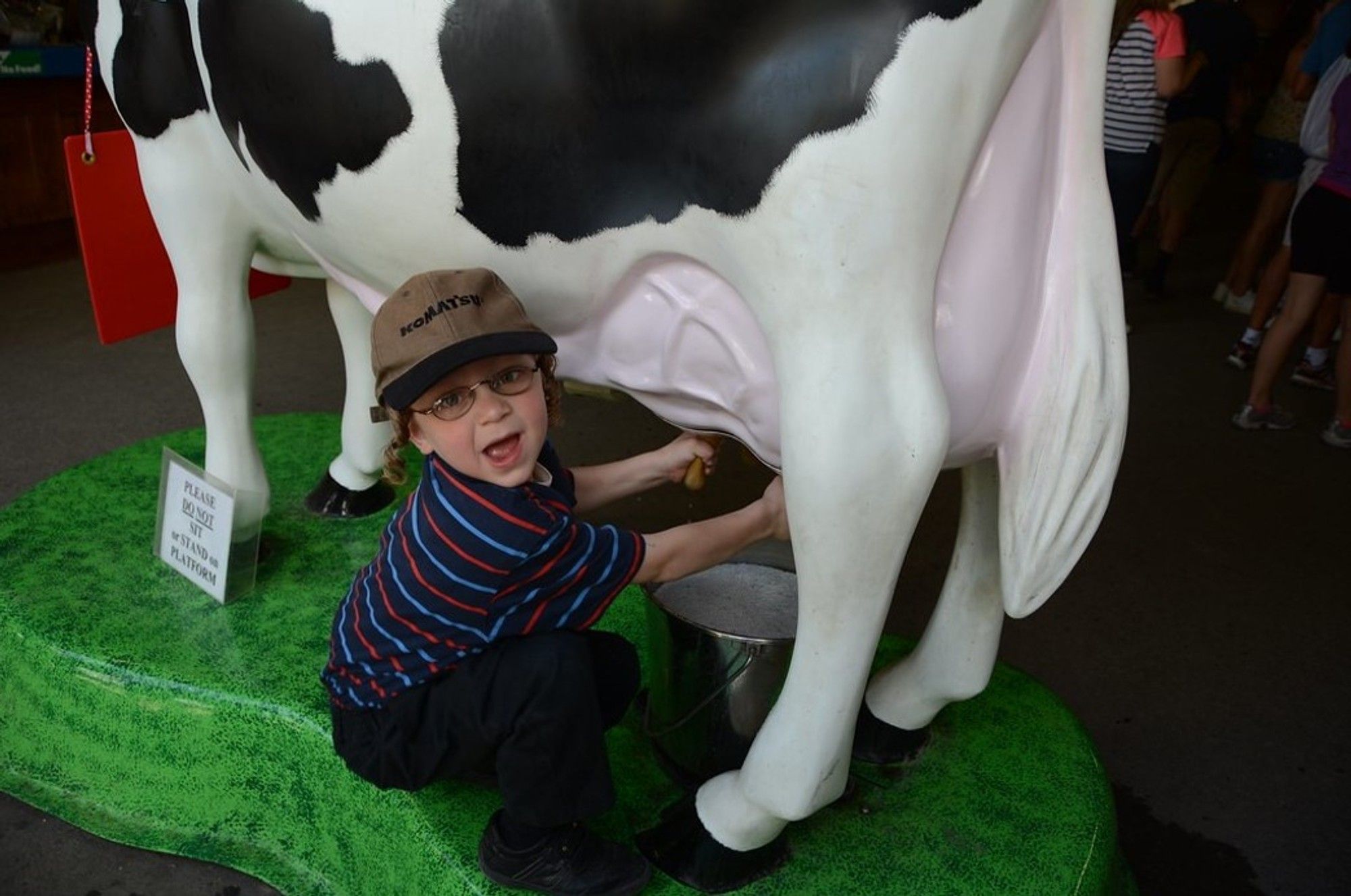 Fake cows ready for milking at US state fairs as bird flu looms
