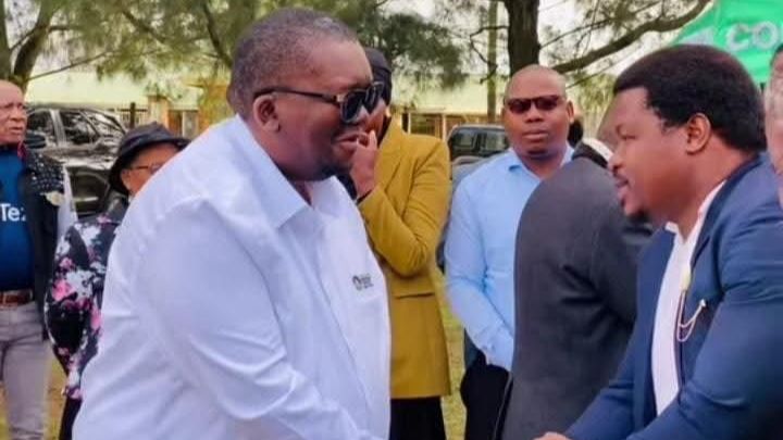 Bashise inkantolo yesizwe uhulumeni 'ebeka inkosi phezu kwenye'