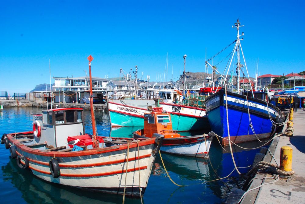 Fishing industry nets jobs and billions despite small economic share