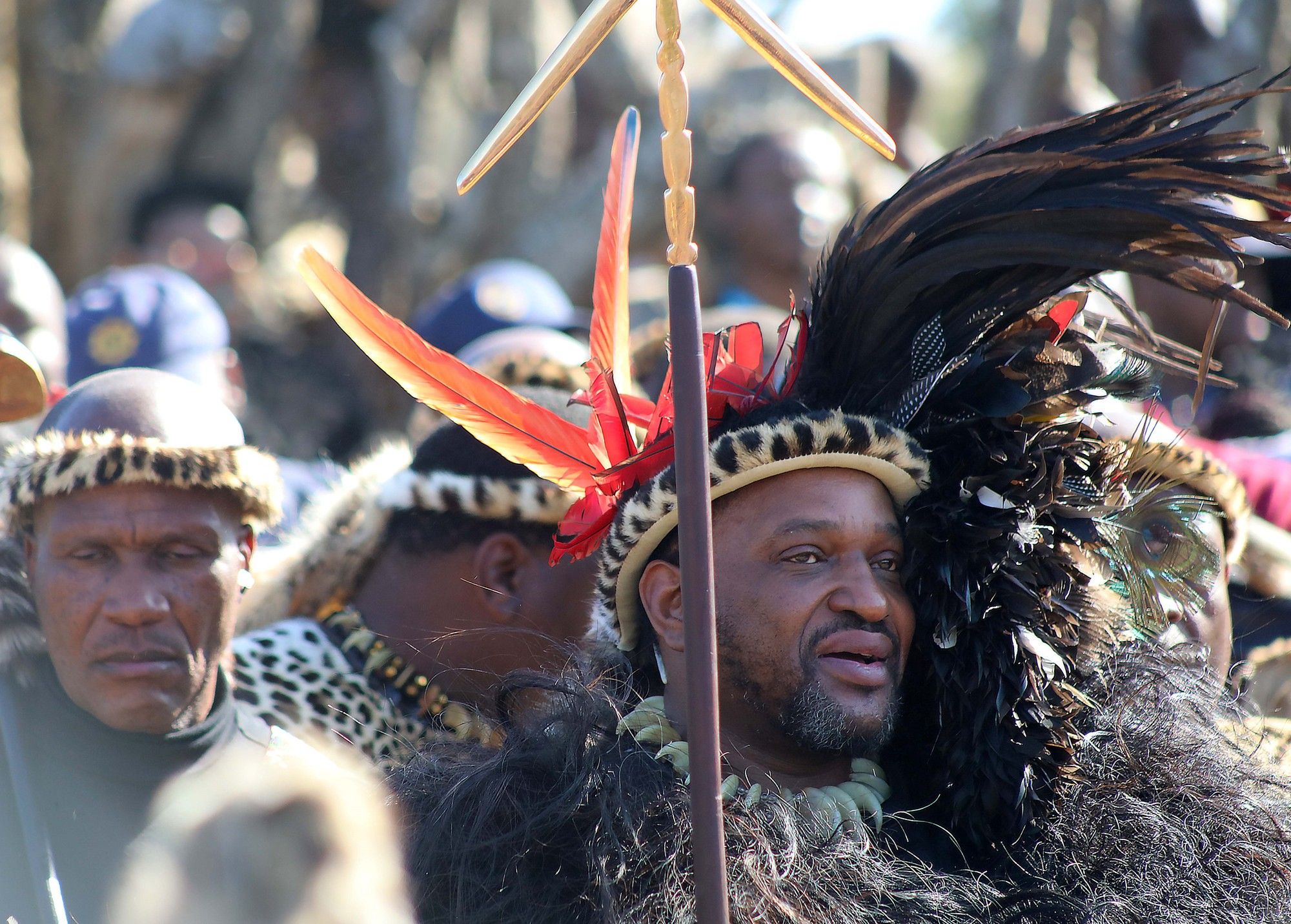 Ingonyama Trust says appeal to Supreme Court of Appeal over leases still on