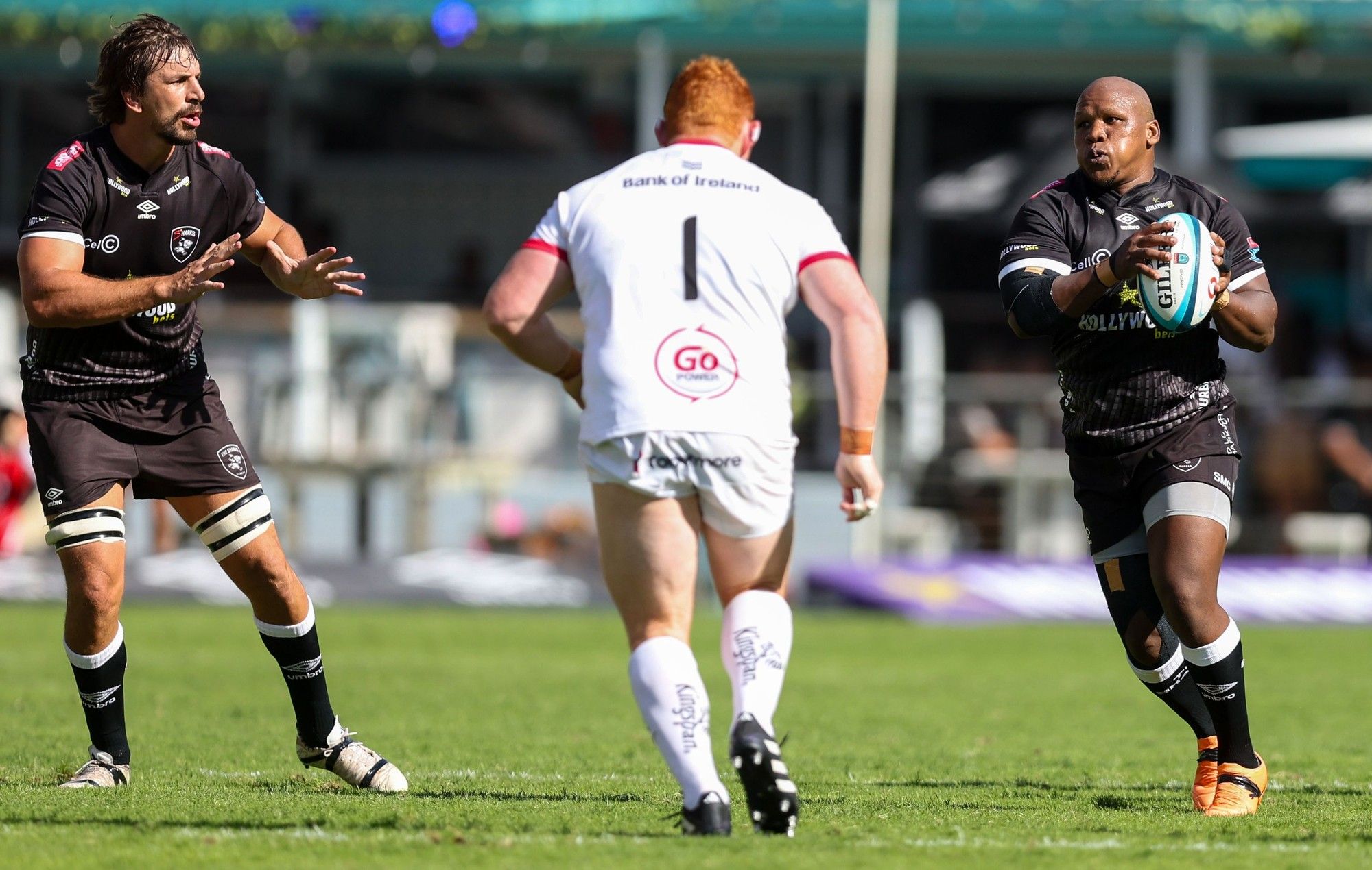 Sharks look for rare back-to-back URC victories