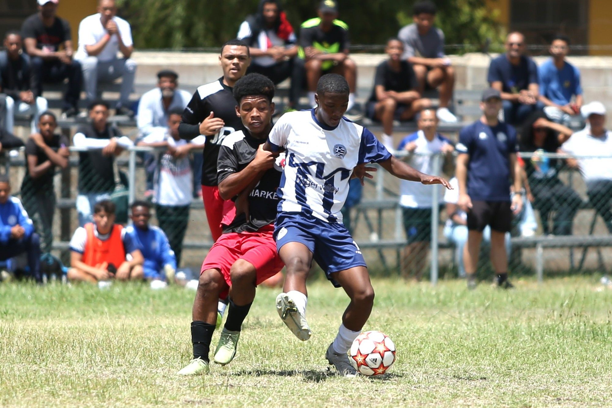 Road To Erica Park starts here